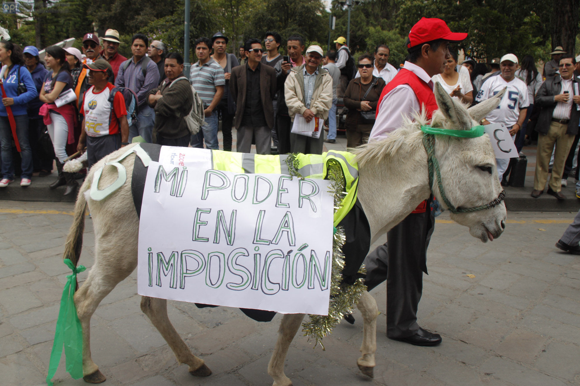 burro | La República EC