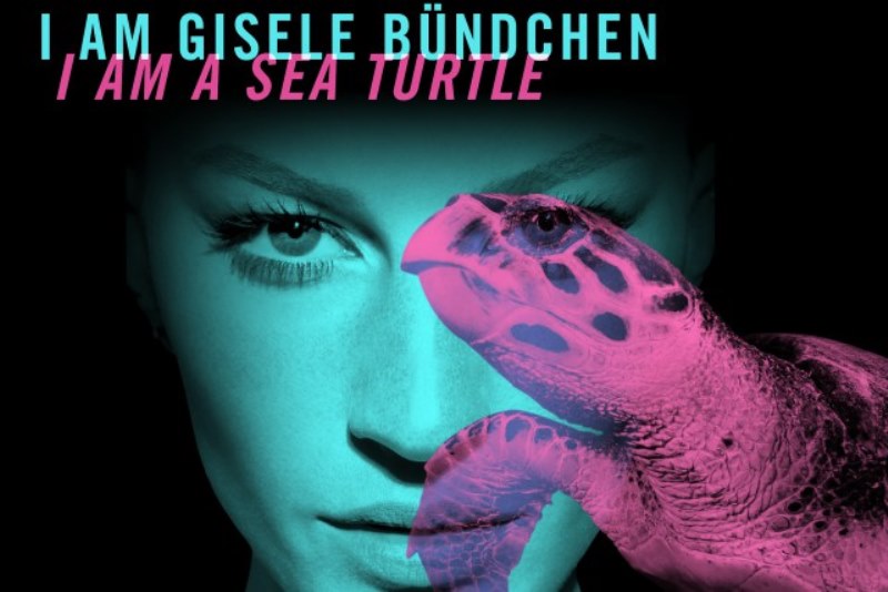 ¿Cuál es tu animal afín? El de Gisele es una tortuga marina | La ...