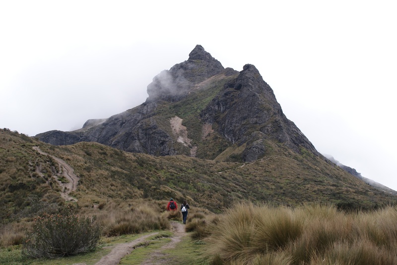 Ruco Pichincha | La República EC