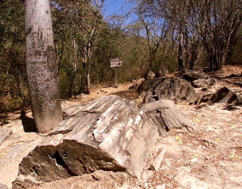 Ecuador busca que Unesco declare reserva de biosfera zona limítrofe con ...