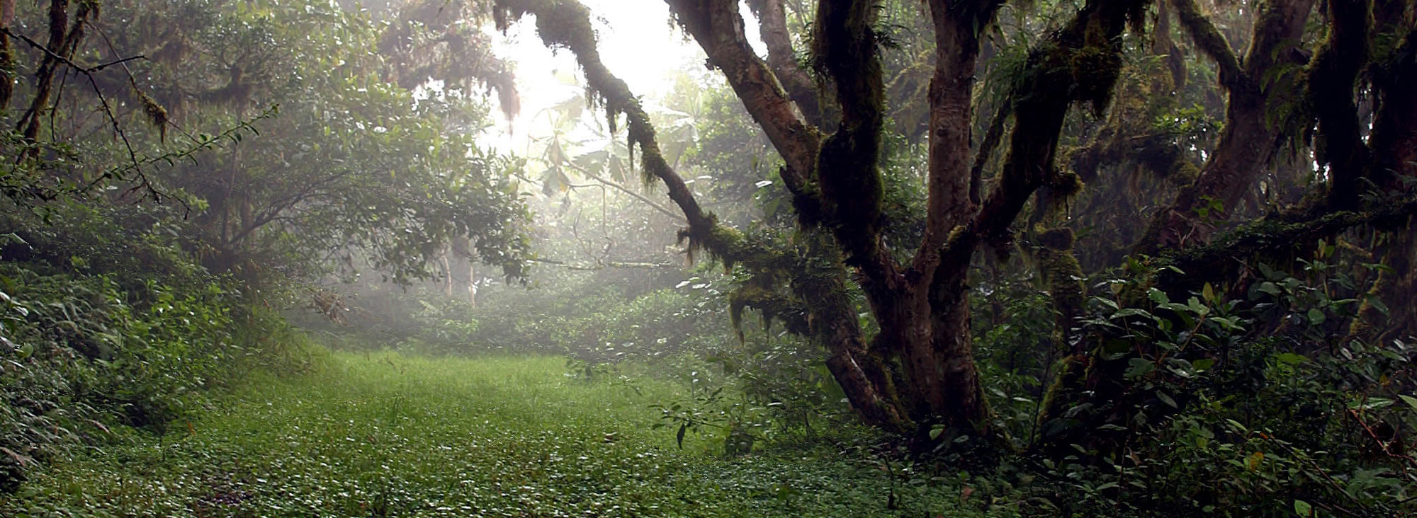 Banco aporta 5,5 millones de euros en Ecuador | La República EC