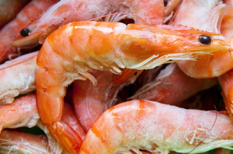 La calidad del camarón ecuatoriano permite que se convierta en un ...