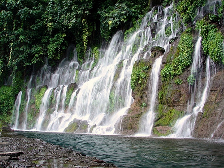 Competencia mundial de aguas finas en Quito | La República EC