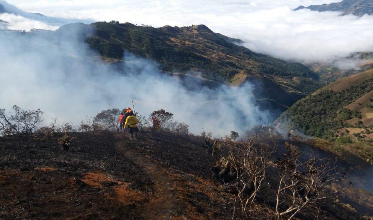 Incendios Forestales En El Oro Consumen Más De 400 Hectáreas La