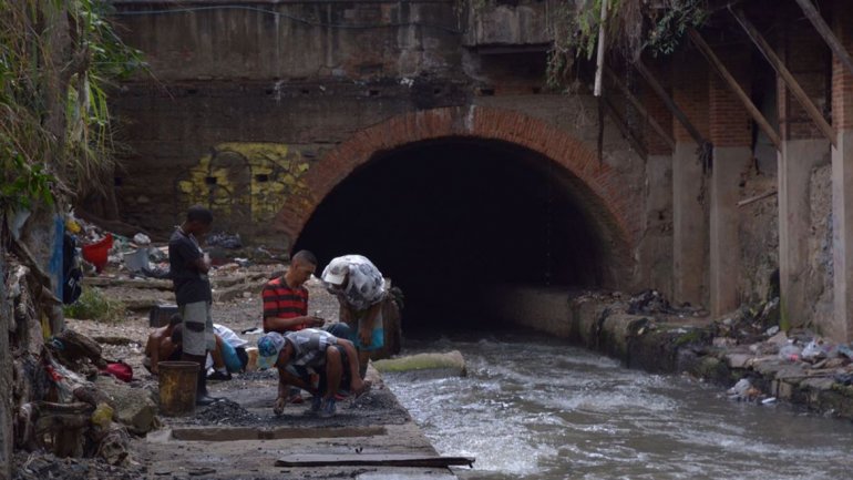cloaca | La República EC