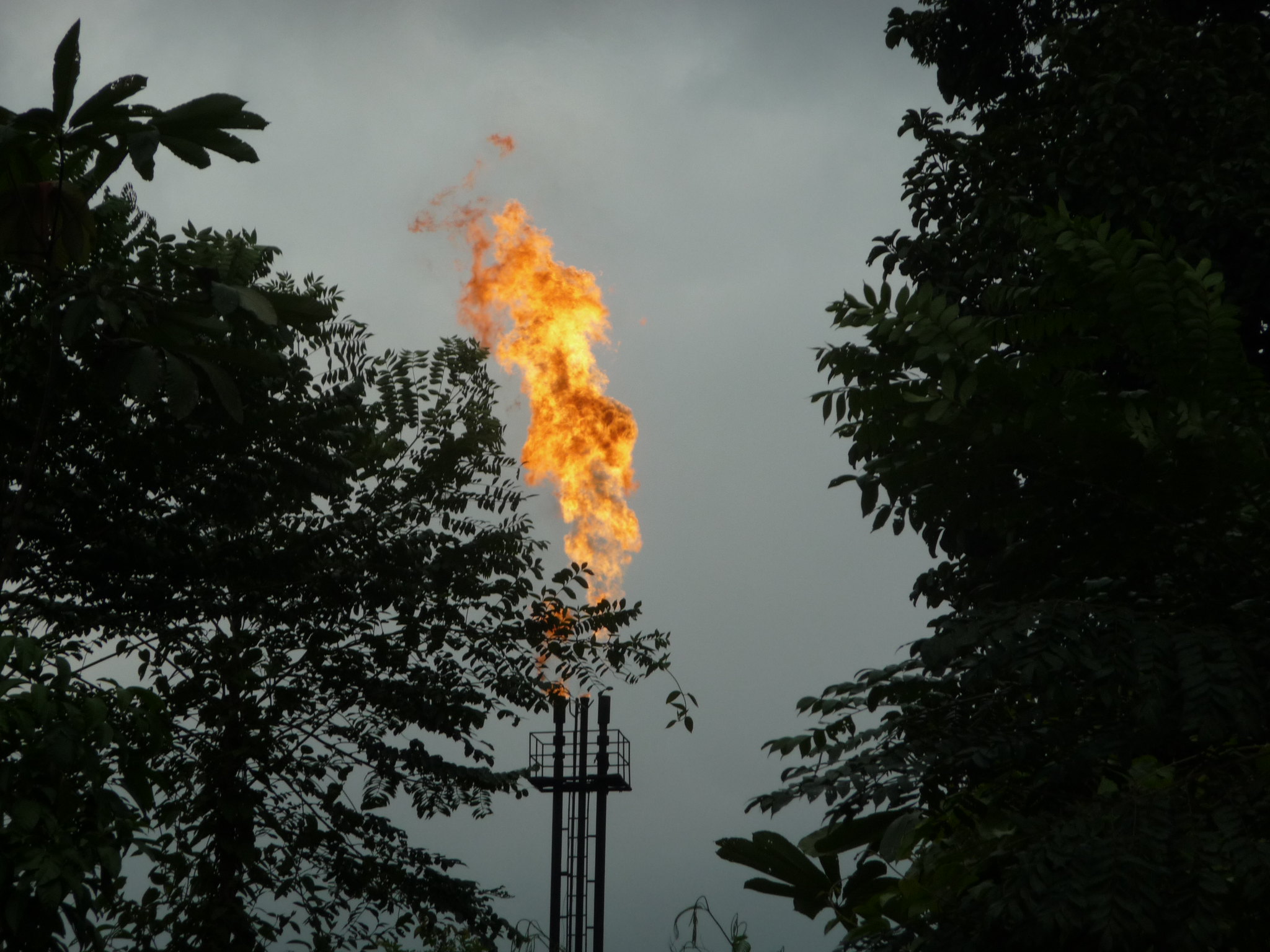 Inversor estadounidense se interesa por proyecto de gas natural en ...