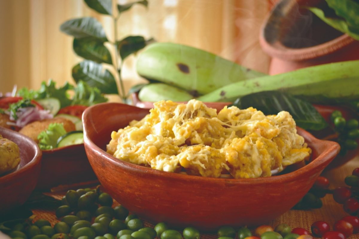 Ecuador declara el Tigrillo de Zaruma patrimonio cultural inmaterial ...