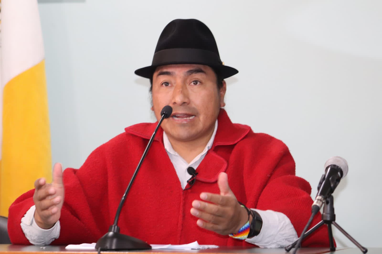 Iza: "preguntas de la Consulta Popular no resuelven nada"