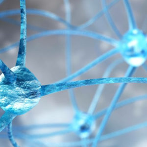Empresa de Elon Musk probará implantes cerebrales en humanos