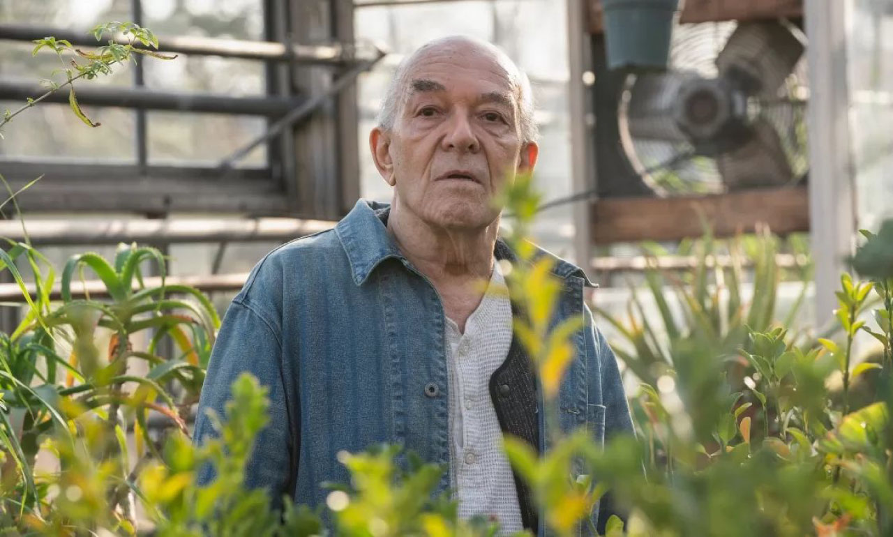 Muere Mark Margolis, actor de «Breaking Bad» y «Better Call Saul» | La ...