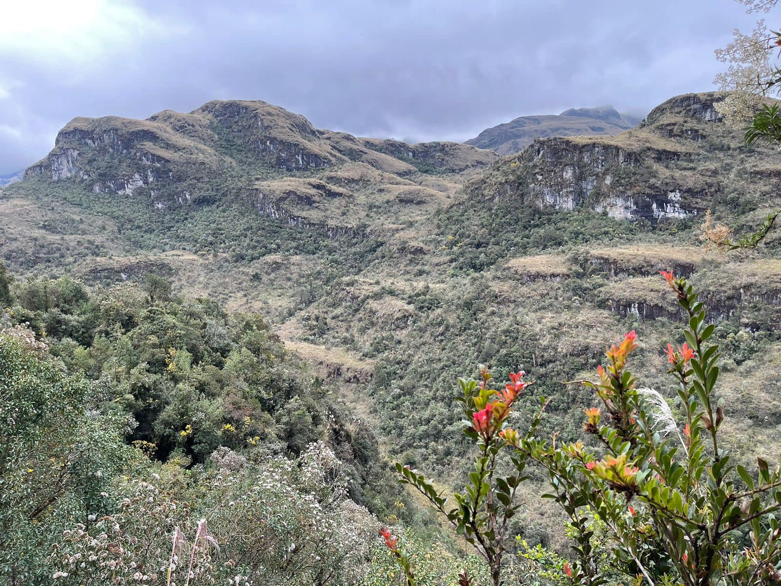 Ecuador incorpora 25.000 ha de páramo a sus zonas protegidas