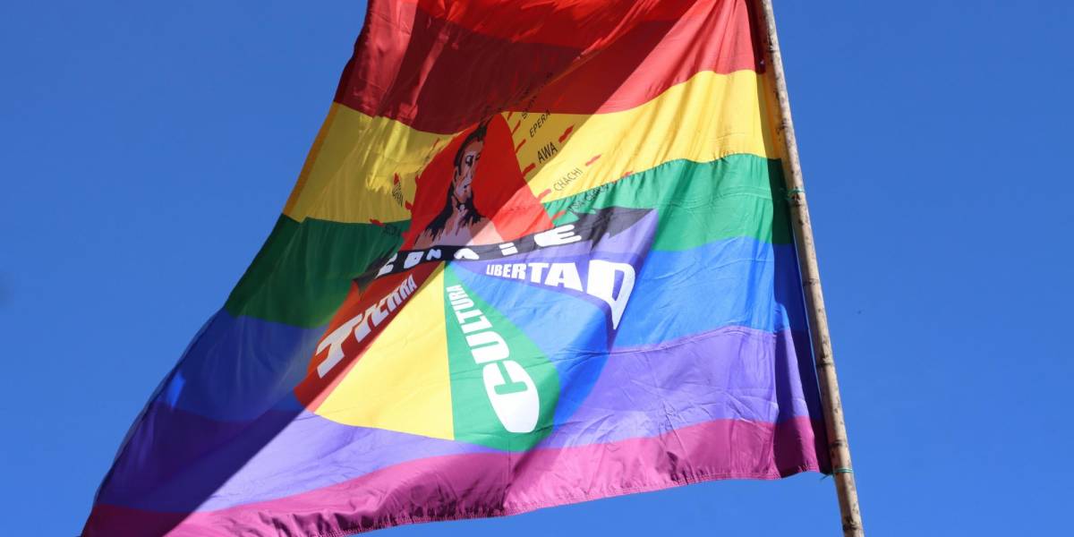 Conaie: La narrativa del Gobierno busca deslegitimar a la CC