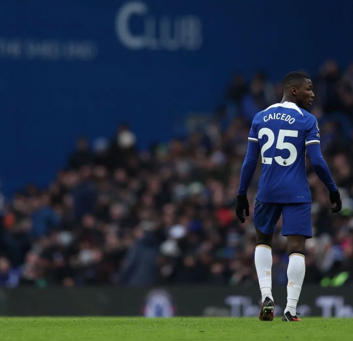 Tercera victoria consecutiva del Chelsea de Moisés Caicedo | La ...