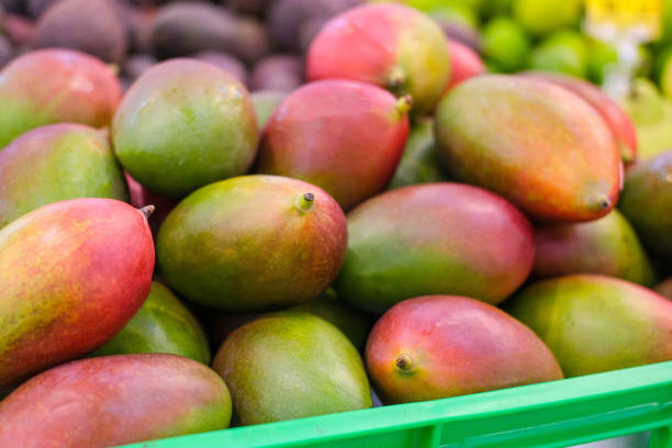 Ecuador exportará mangos hacia Corea del Sur